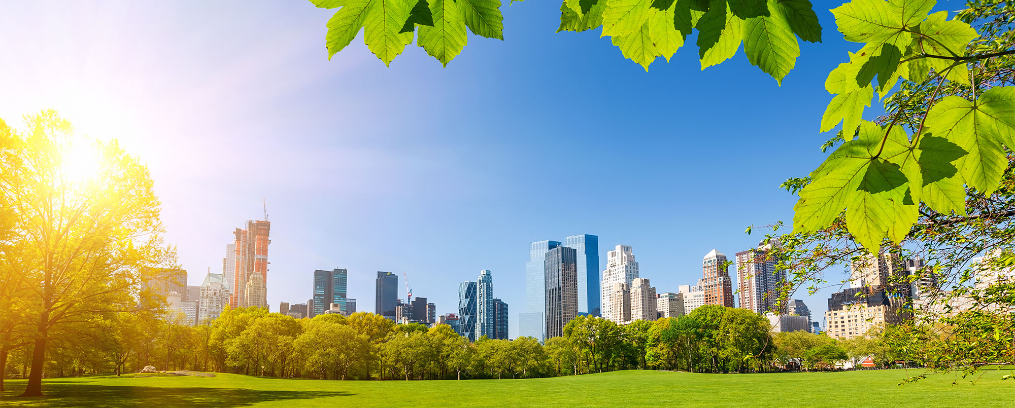 Environmental Innovation | Valhalla Foundation